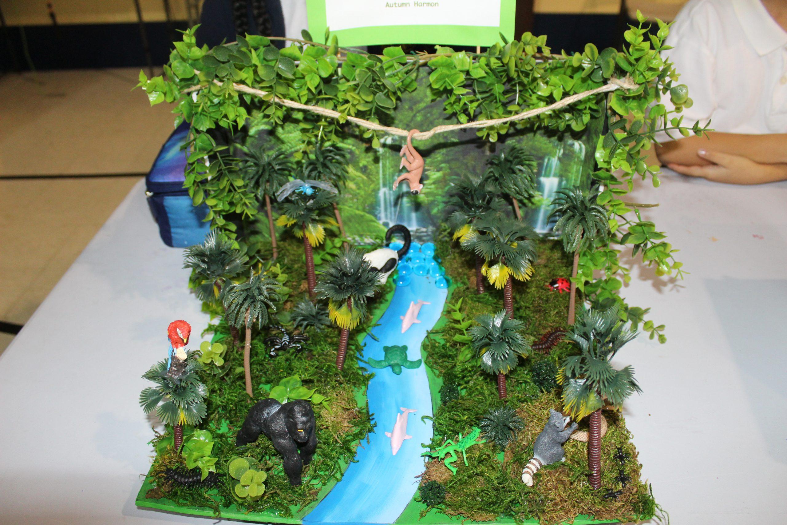 4th Grade Ecosystem Projects - Lake Castle Private School New Orleans